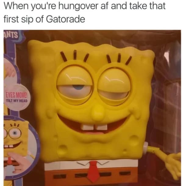 30 Hungover Meme Posts For The Morning After Survivors