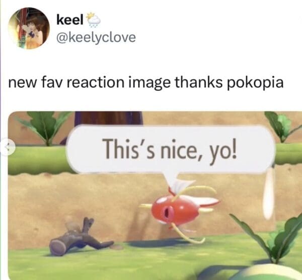 Pokopia Memes And The Cozy Pokémon Game Everyone Wanted