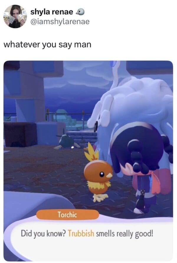 Pokopia Memes And The Cozy Pokémon Game Everyone Wanted