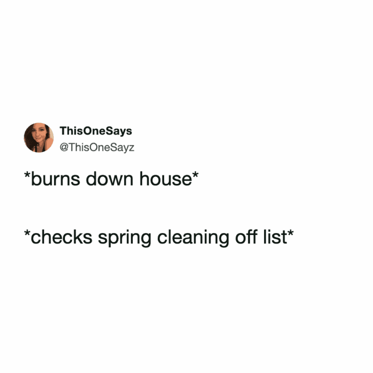 35 Spring Cleaning Meme Tweets That Are Too Real