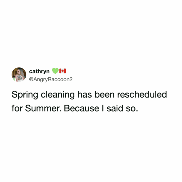 35 Spring Cleaning Meme Tweets That Are Too Real