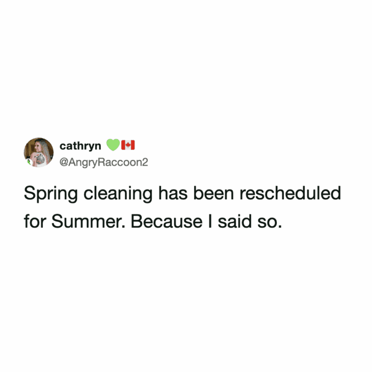 35 Spring Cleaning Meme Tweets That Are Too Real