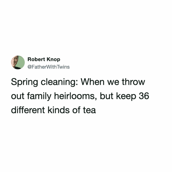35 Spring Cleaning Meme Tweets That Are Too Real
