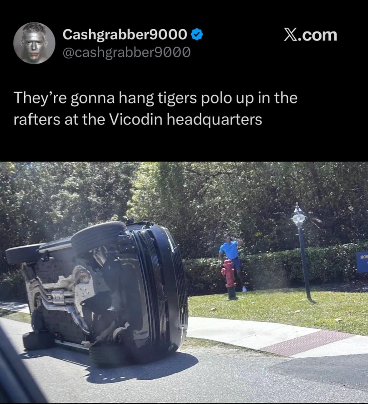 25 Tiger Woods Crash Memes And The DUI Rollover Discourse