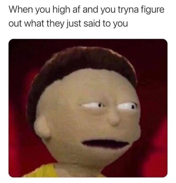These 420 Memes Are Basically A Love Letter To Stoner Logic