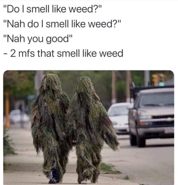 These 420 Memes Are Basically A Love Letter To Stoner Logic