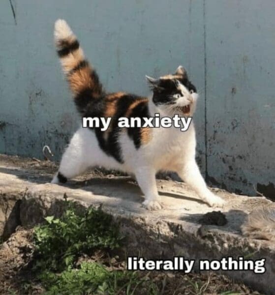 40 Anxiety Memes For When Your Nervous System Won’t Chill
