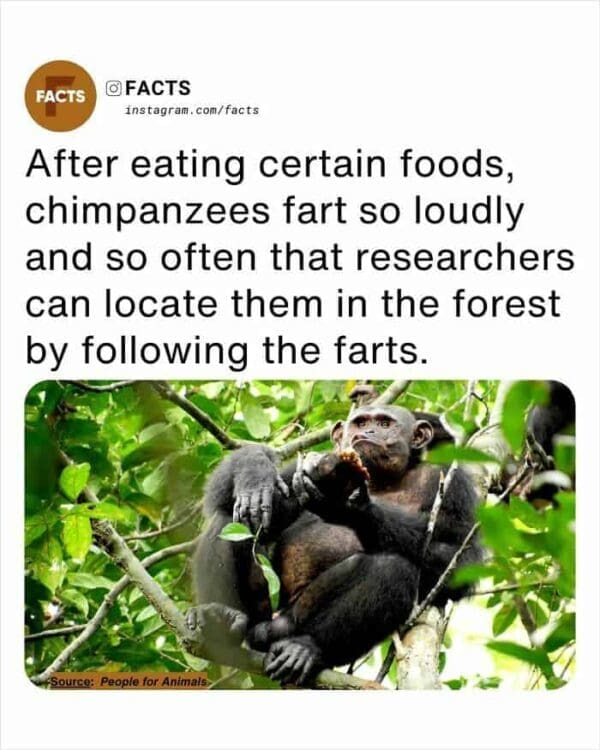 63 Random Facts To Feed Your Brain Today