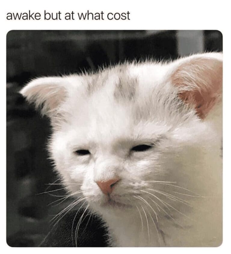 40 Sleep Memes For Anyone Running On Empty This Weekend