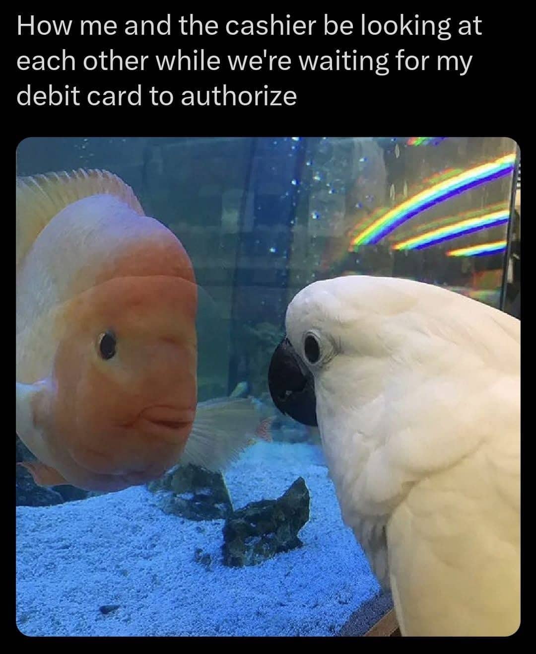 funny memes 1-8 - Thunder Dungeon | The Funniest Memes. Period.