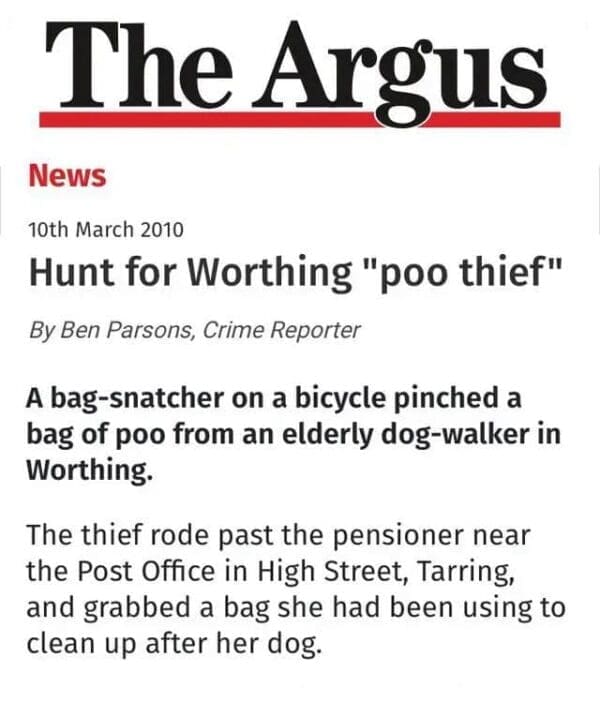 These Funny News Headlines Are Making Me Think We Are In The Goofiest ...