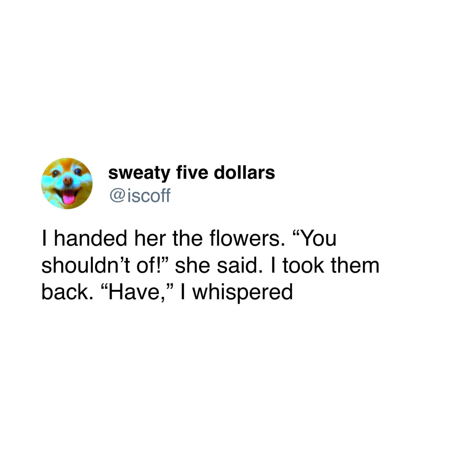 grammar memes-10-20260604 - Thunder Dungeon | The Funniest Memes. Period.